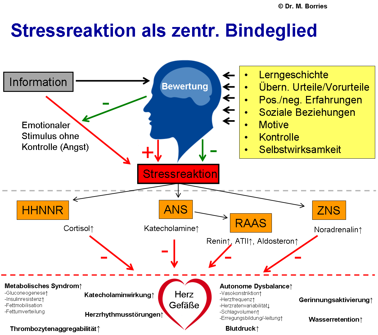 HI-Stress/Stressreaktion